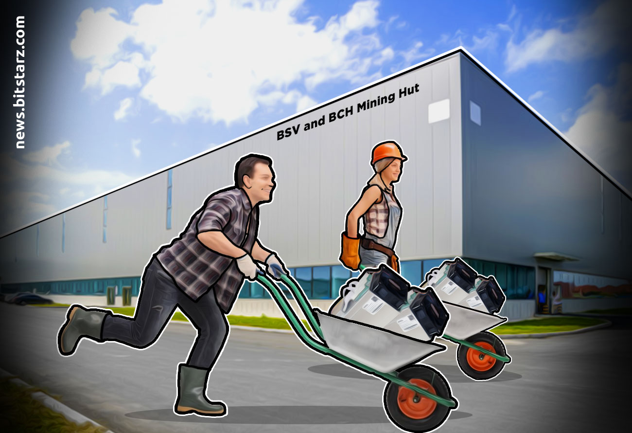 BSV and BCH Settle at 50% Pre-halving Hashrate - Bitstarz News
