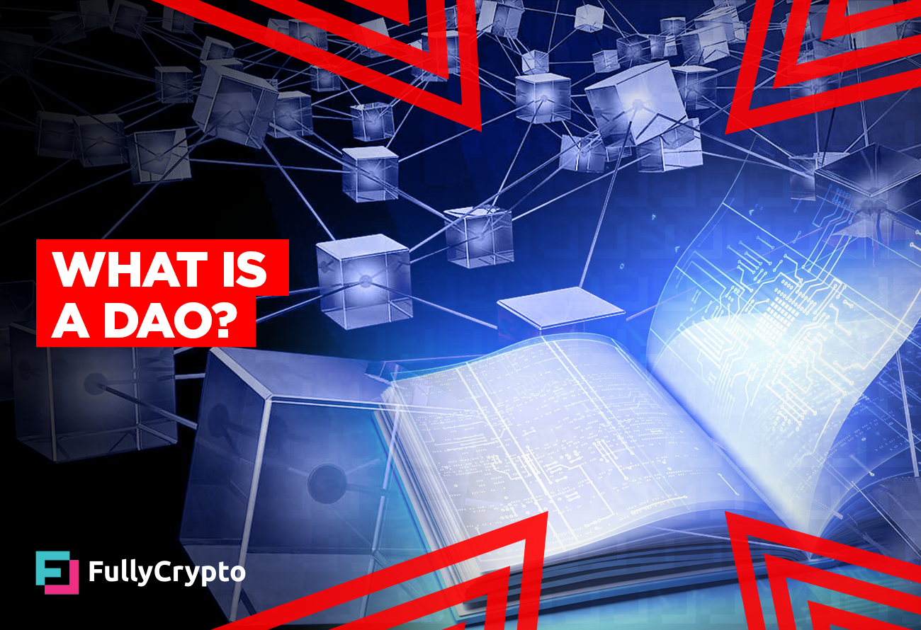 What is a DAO? A Beginner’s Guide
