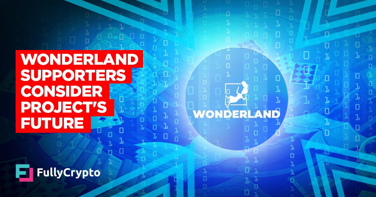Wonderland DAO Members Consider Project's Future