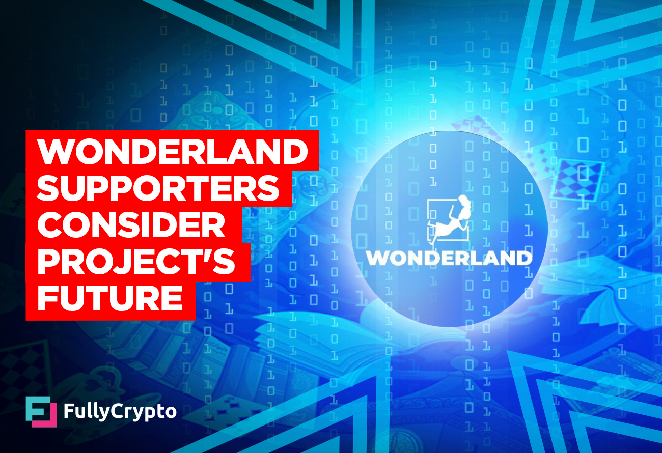 Wonderland DAO Members Consider Project's Future