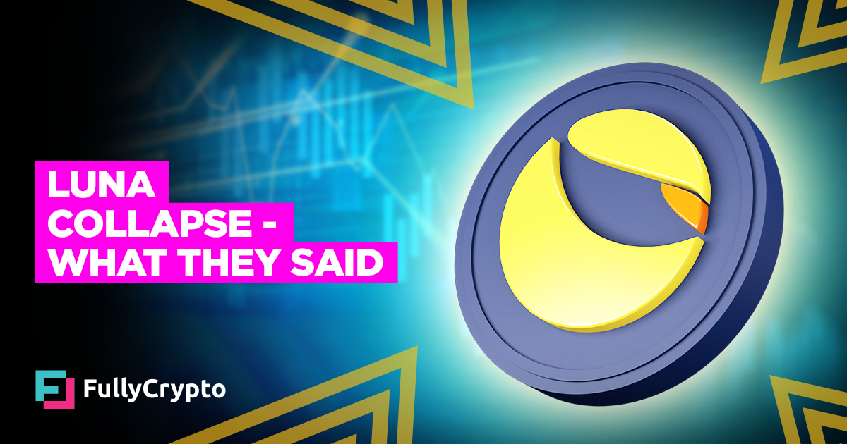 LUNA Collapse - What They Said