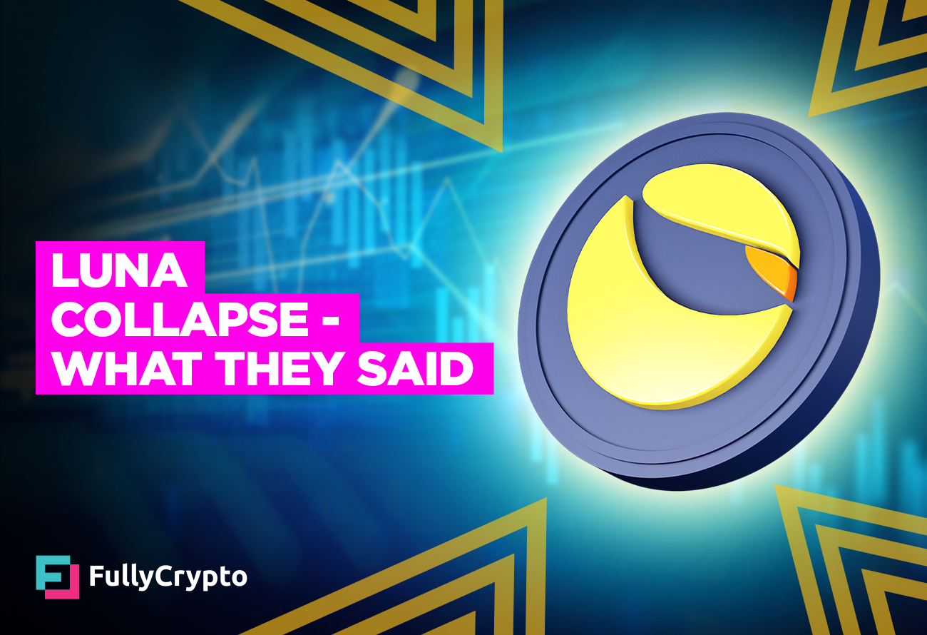 LUNA Collapse - What They Said