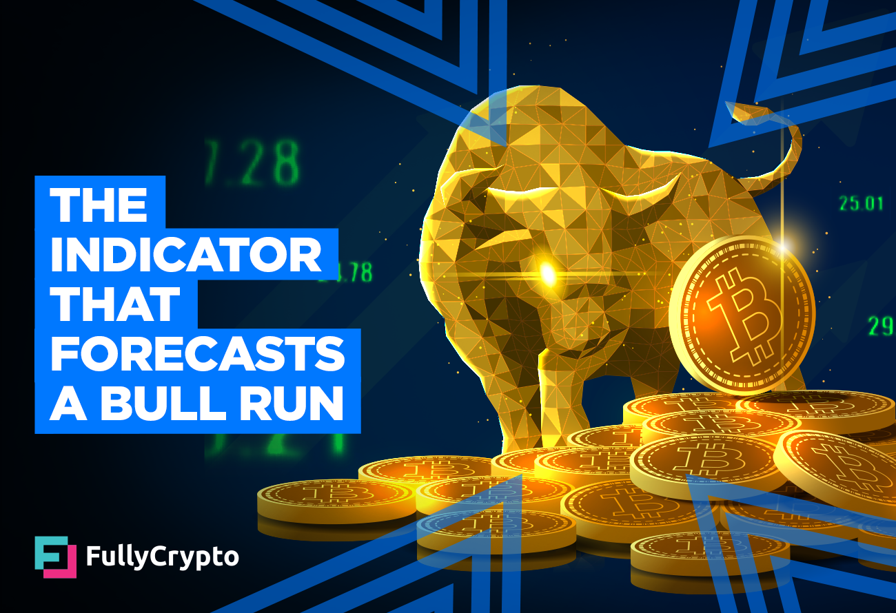 The Indicator That Forecasts a Bull Run