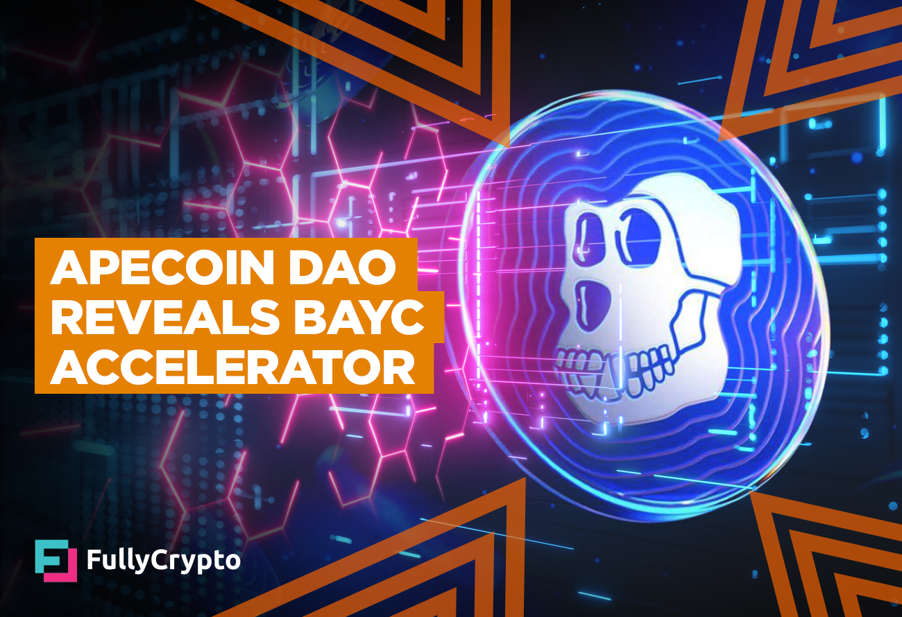 ApeCoin DAO Reveals Accelerator Program for Bored Ape Projects