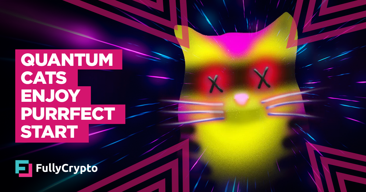 Taproot Wizards’ Quantum Cats Double in Price Hours After Listing
