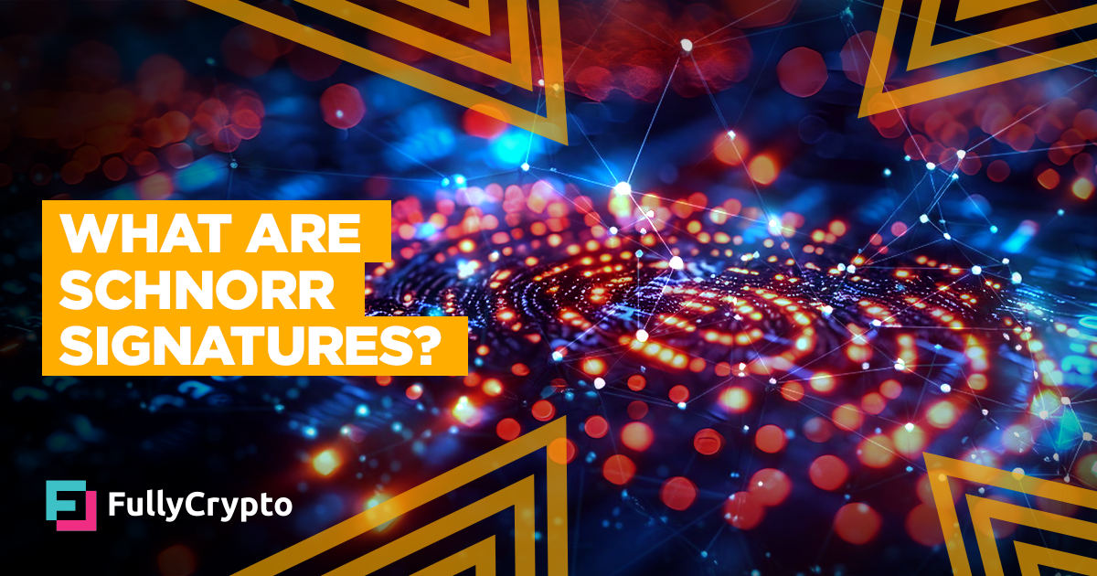 What Are Schnorr Signatures?