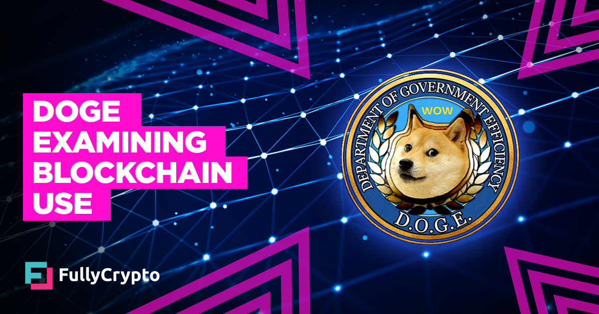 Elon Musk’s DOGE Looking at Blockchain for Transparency